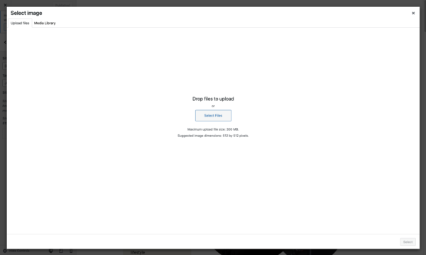How to add a site icon - Extendify